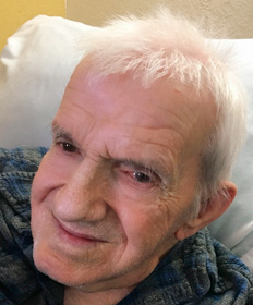 RICHARD L. CERRA | News, Sports, Jobs - Messenger News